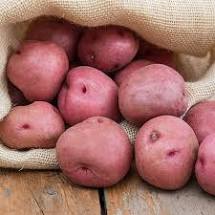 Potato, Red Lasoda | GCMGA Online Store
